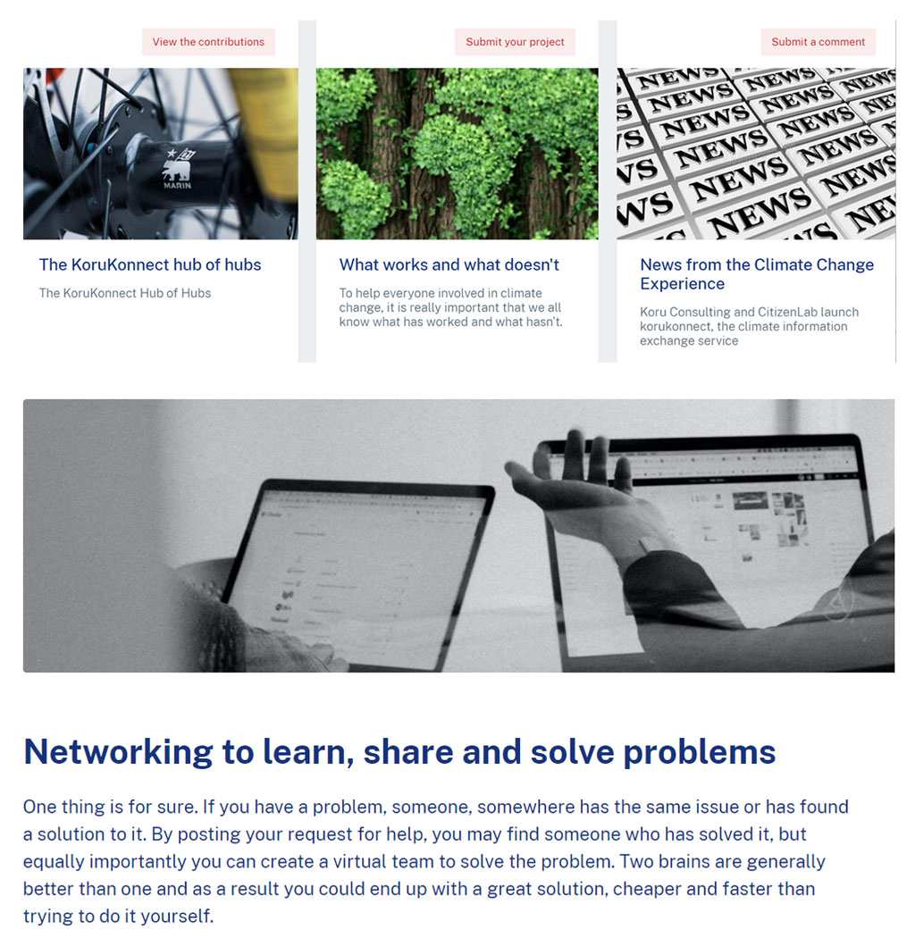 What? – Koru Consulting